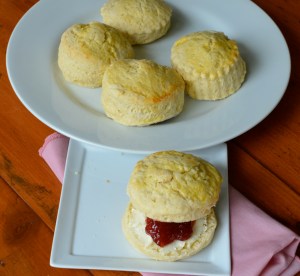 Sweet White Scones. New Music From Two Wounded Birds. | I Sing In The ...