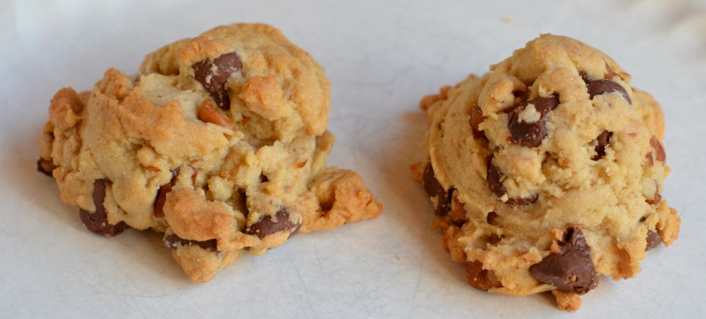 Chunky Peanut, Chocolate Chip Cinnamon Cookies. Swimming In Synth With ...